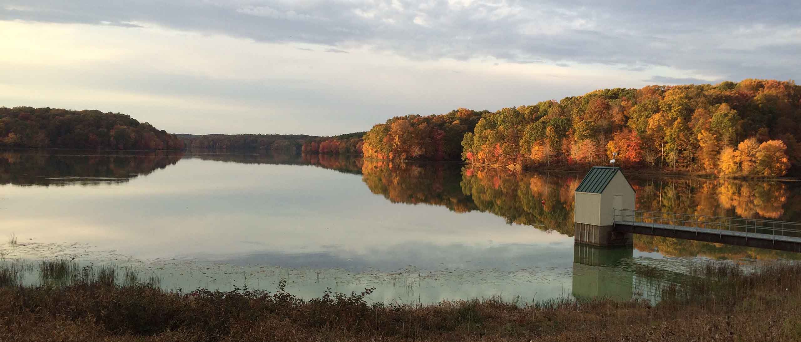 Faith in a Seed by Kristina Olsson - Queensland Performing Arts Centre ...